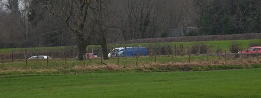 Jason Rothwell - a loose cannon - Chris’s Substack