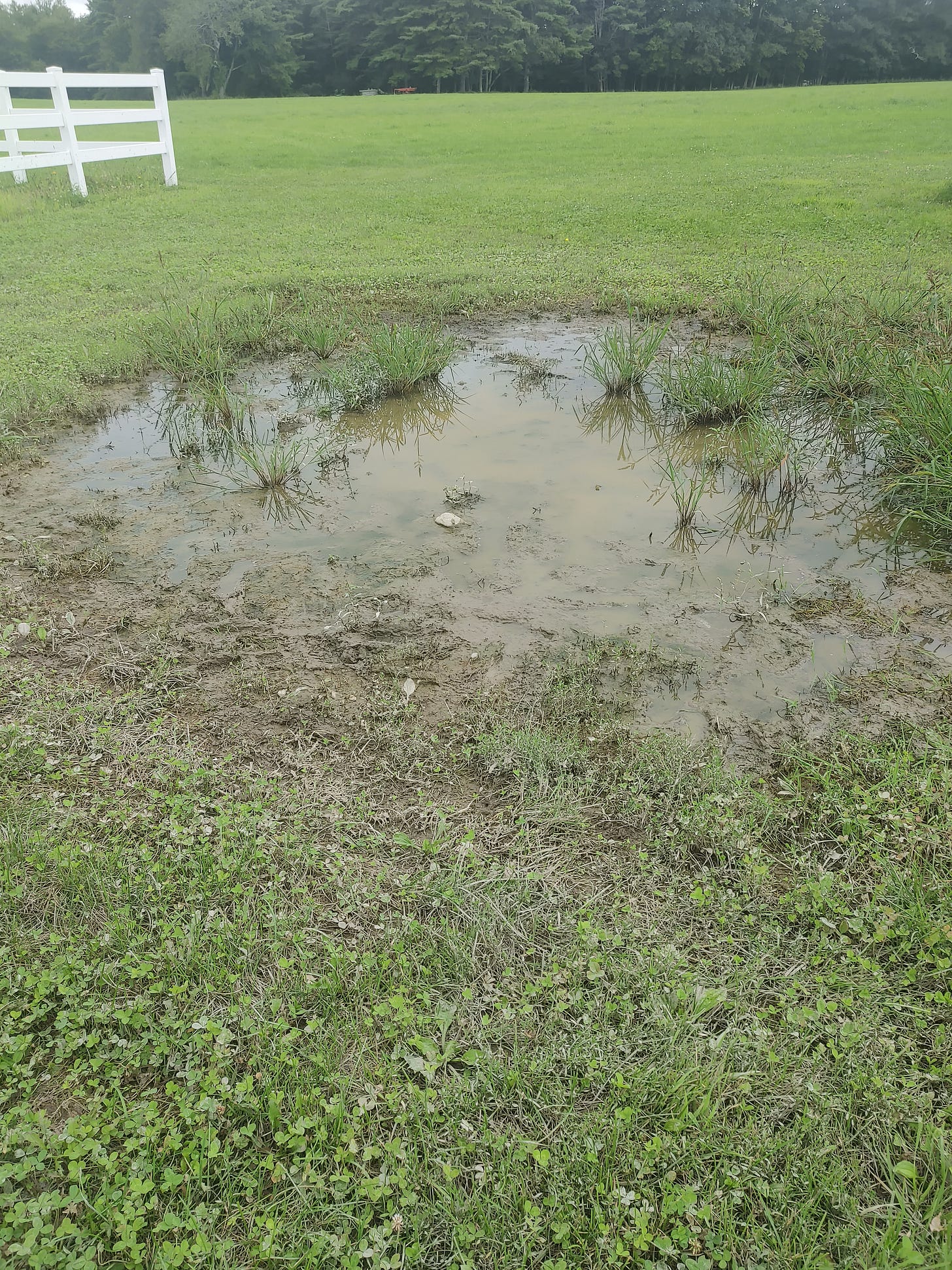 The habitat of - by Mia Marietta - Togethering