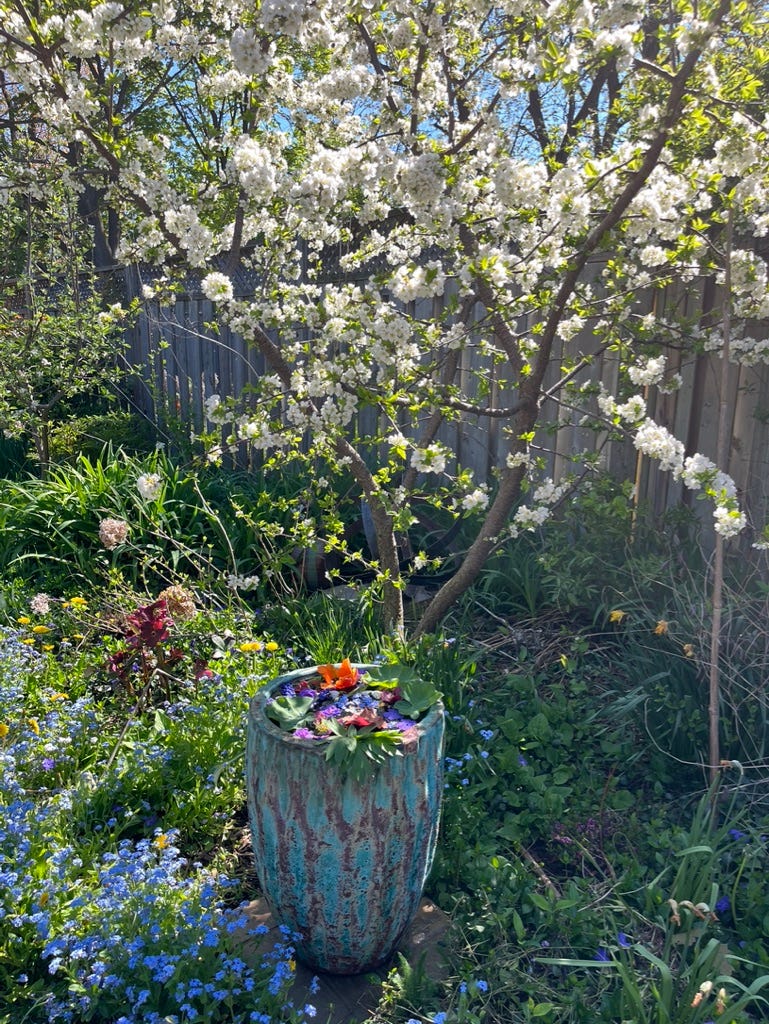 What Water Remembers - by Celia Cain, PhD