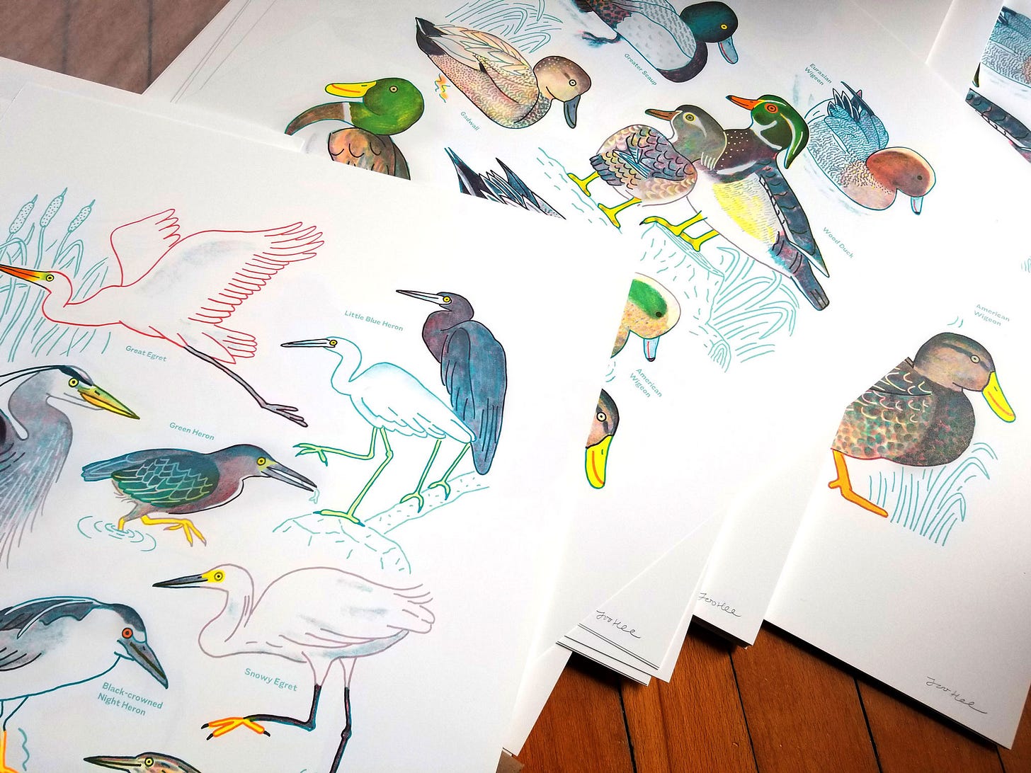 100 Birds of Rhode Island - by JooHee Yoon