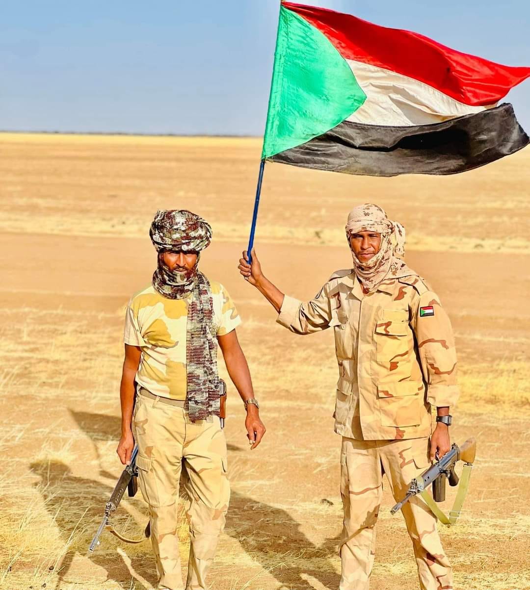 Arsenal of the Rapid Support Forces in Sudan - by War Noir