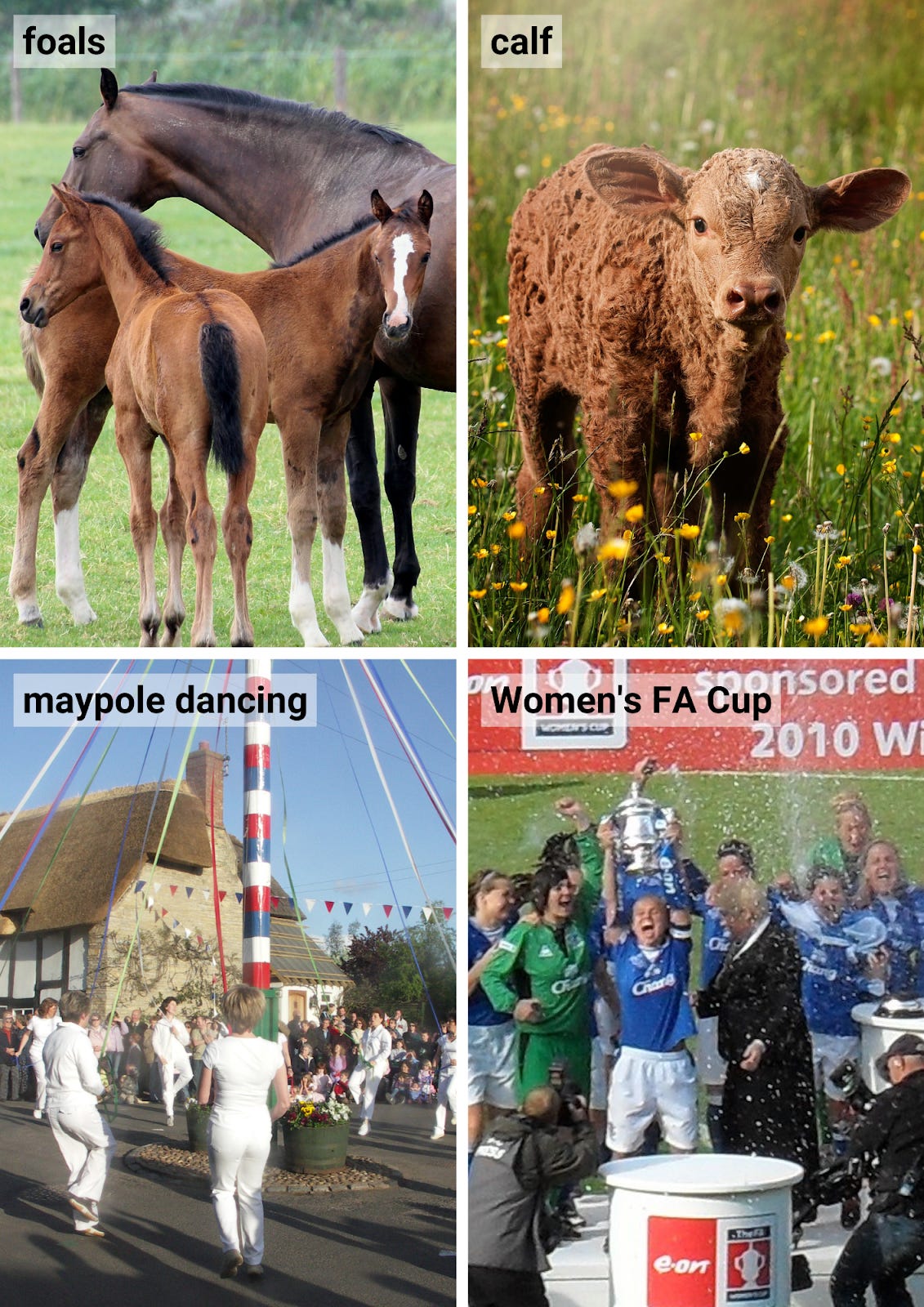 May in England - a reading lesson