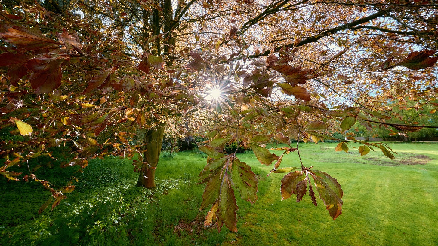 New interview with Patrick Gunnels - by Martin Geddes