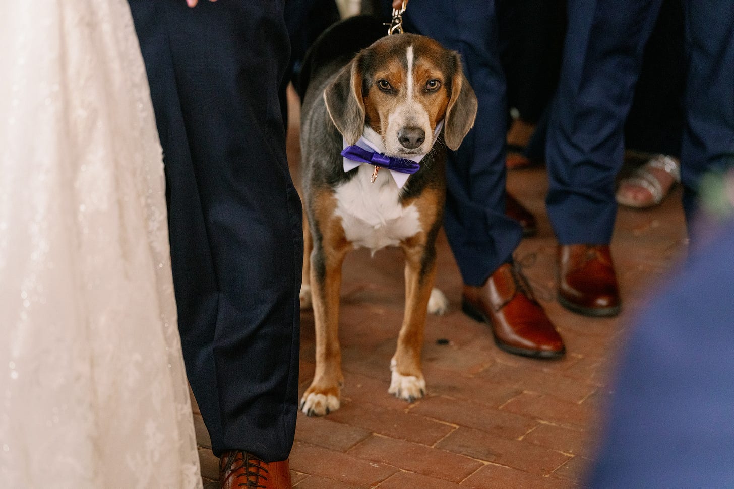 Nigel Biggar On Colonialism - by Andrew Sullivan