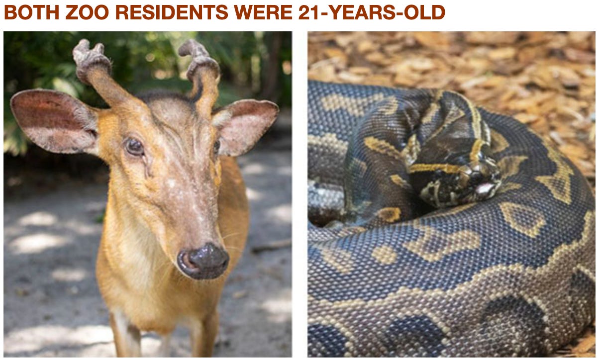 "Vaccinated" animals continue to "die suddenly" at zoos throughout the ...