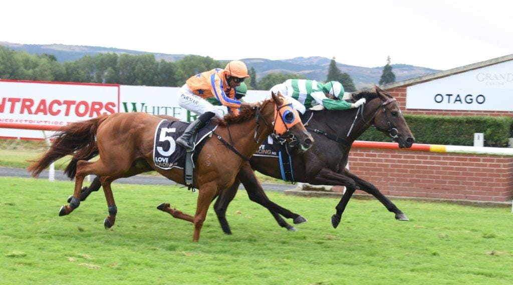 Southland horses successful at Dunedin Cup and Guineas race day
