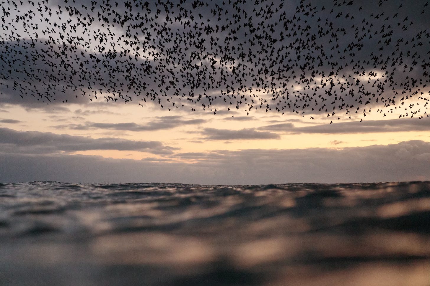 In the bird bath - by Finn Hopson - Now | Here | This