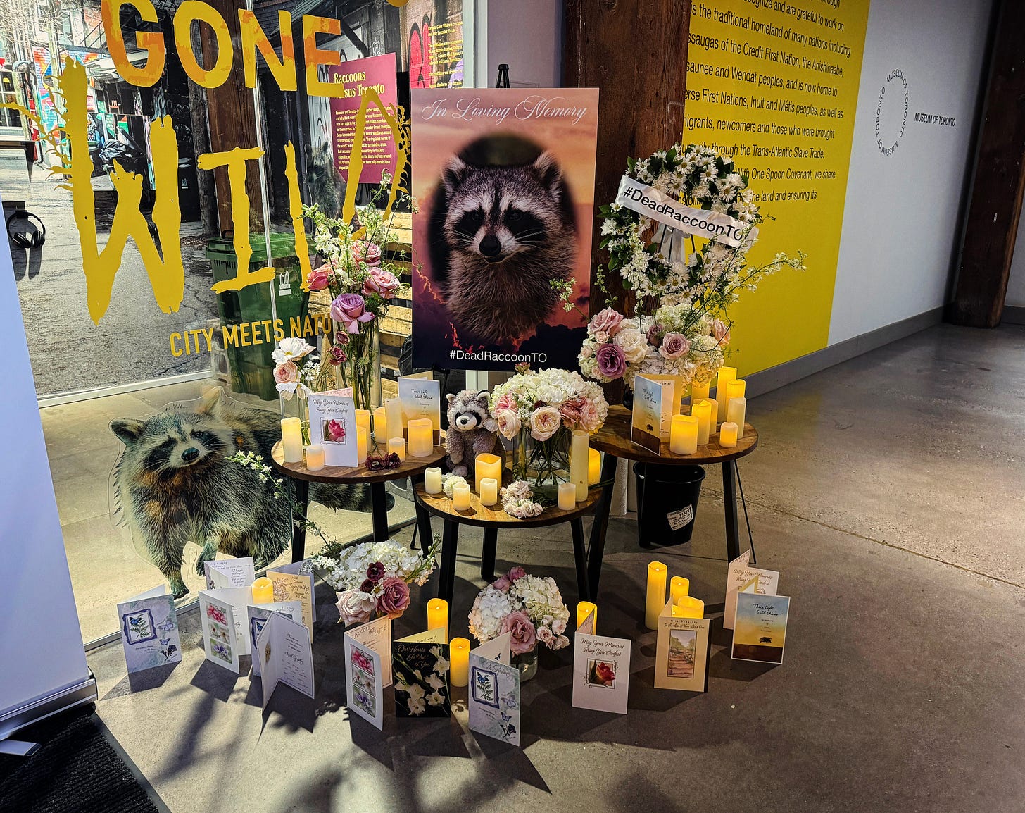 A Eulogy for Conrad The Raccoon - by Adam Bunch