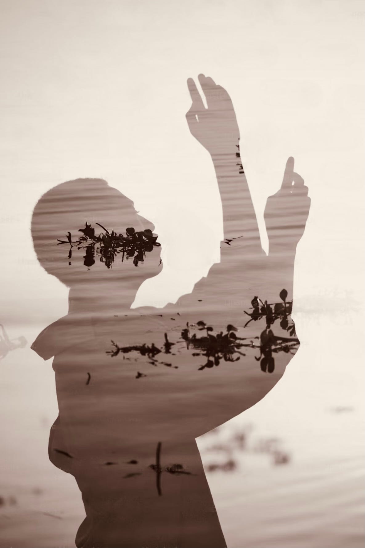 The 40 Rules of Love, by Shams Tabrizi - by Rod Tweedy