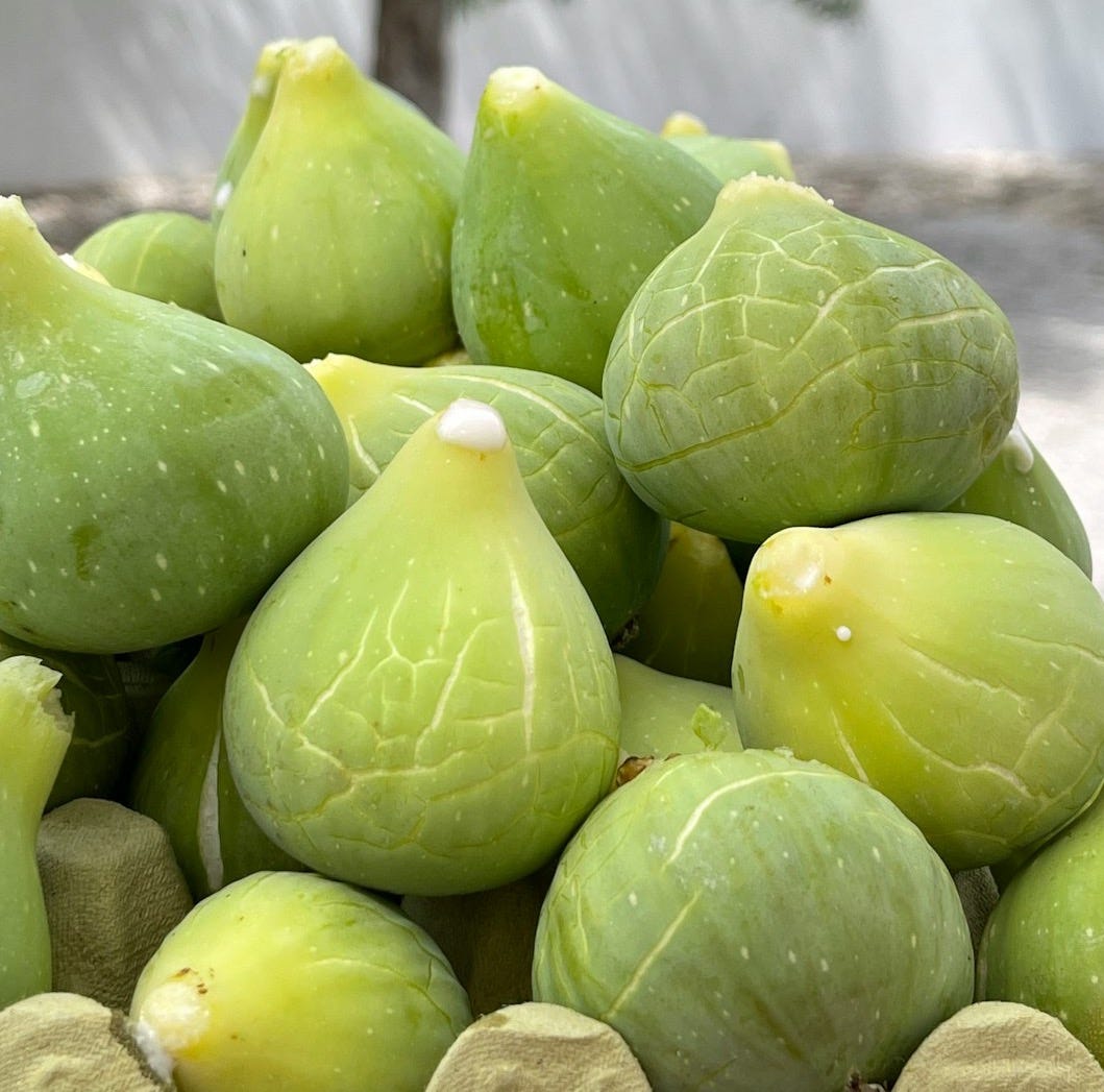 What Do Figs Taste Like? - The Fig Jam