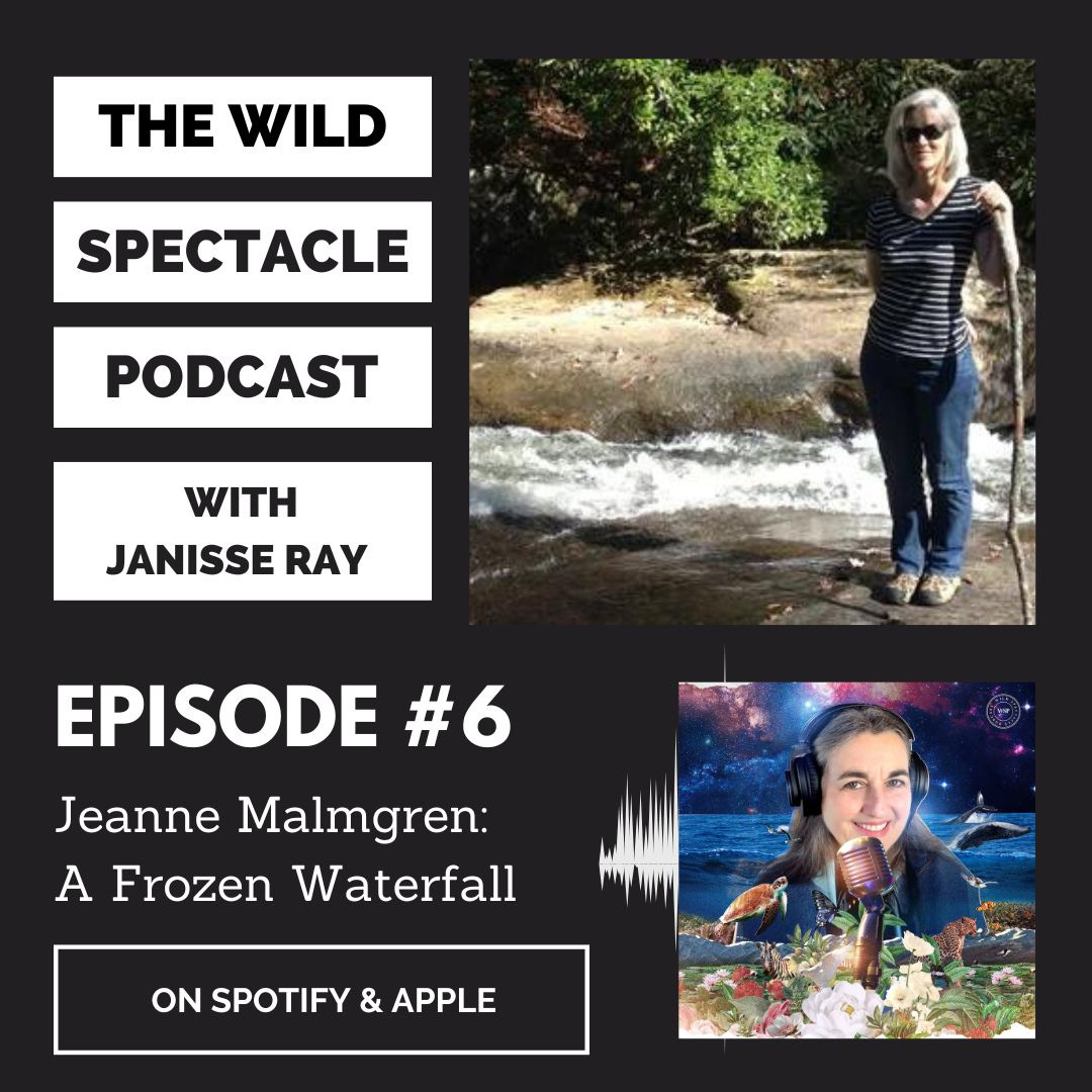 Ep #6 | Jeanne Malmgren | A Frozen Waterfall