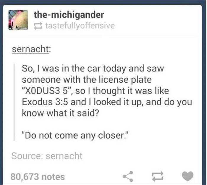 Ann Barnhardt Memes - Edwin’s Newsletter #1