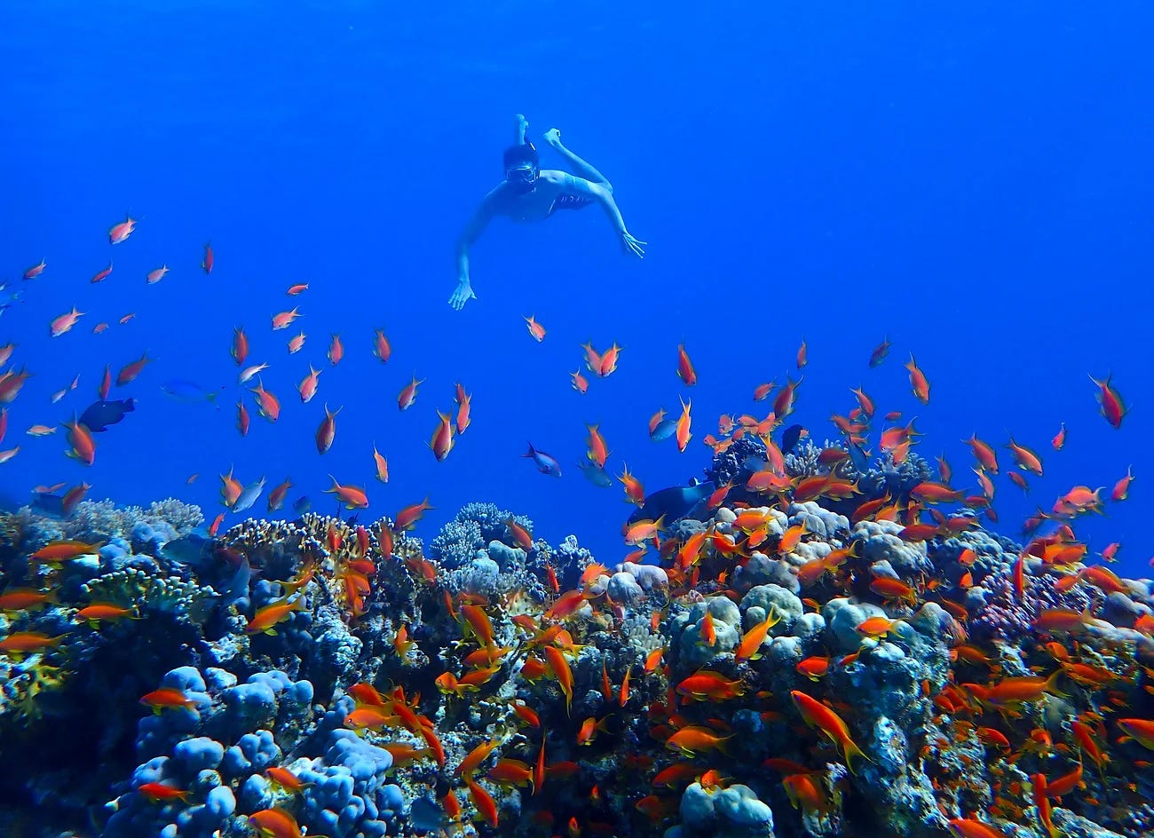 Enjoy Simple Beauty at Basata Eco-Lodge