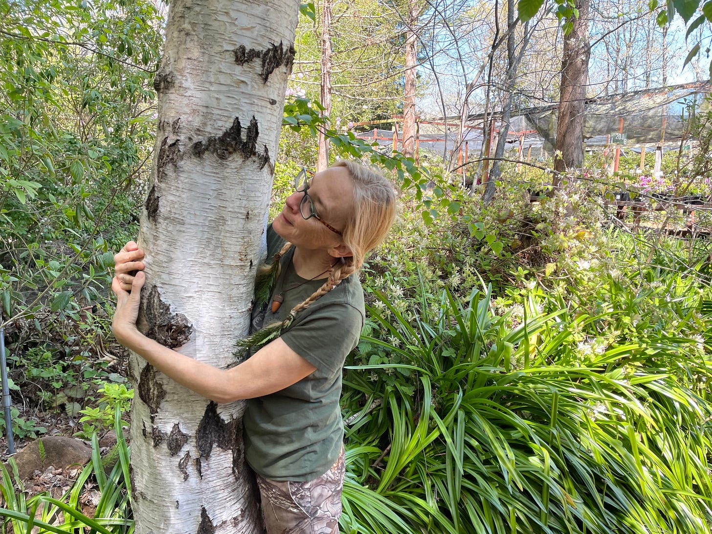 The Forest and the Trees: A conversation with TreeGirl