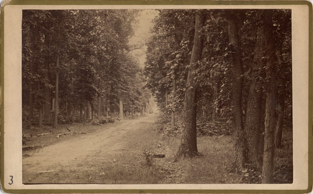 The Little Detroit History Letter | Amy Elliott Bragg | Substack