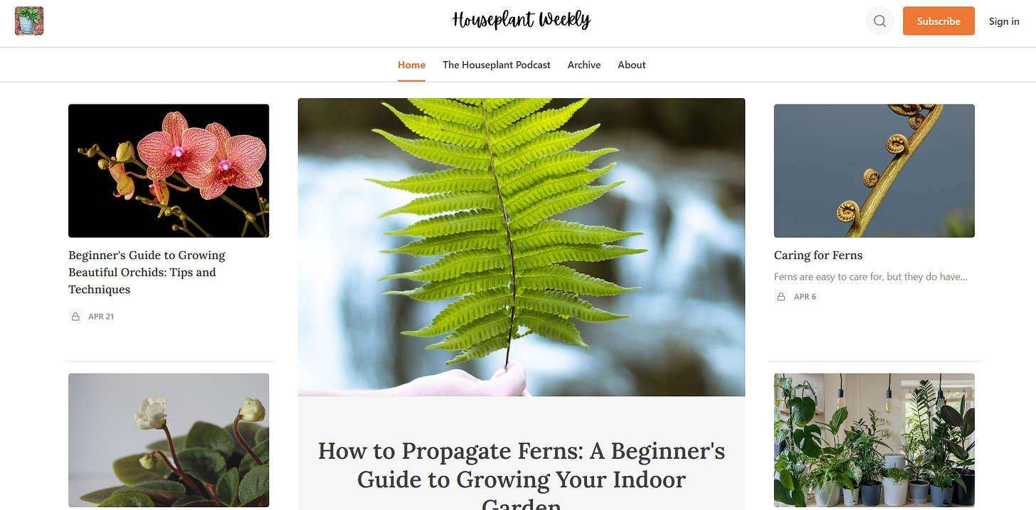 Creating a visual identity for your Substack