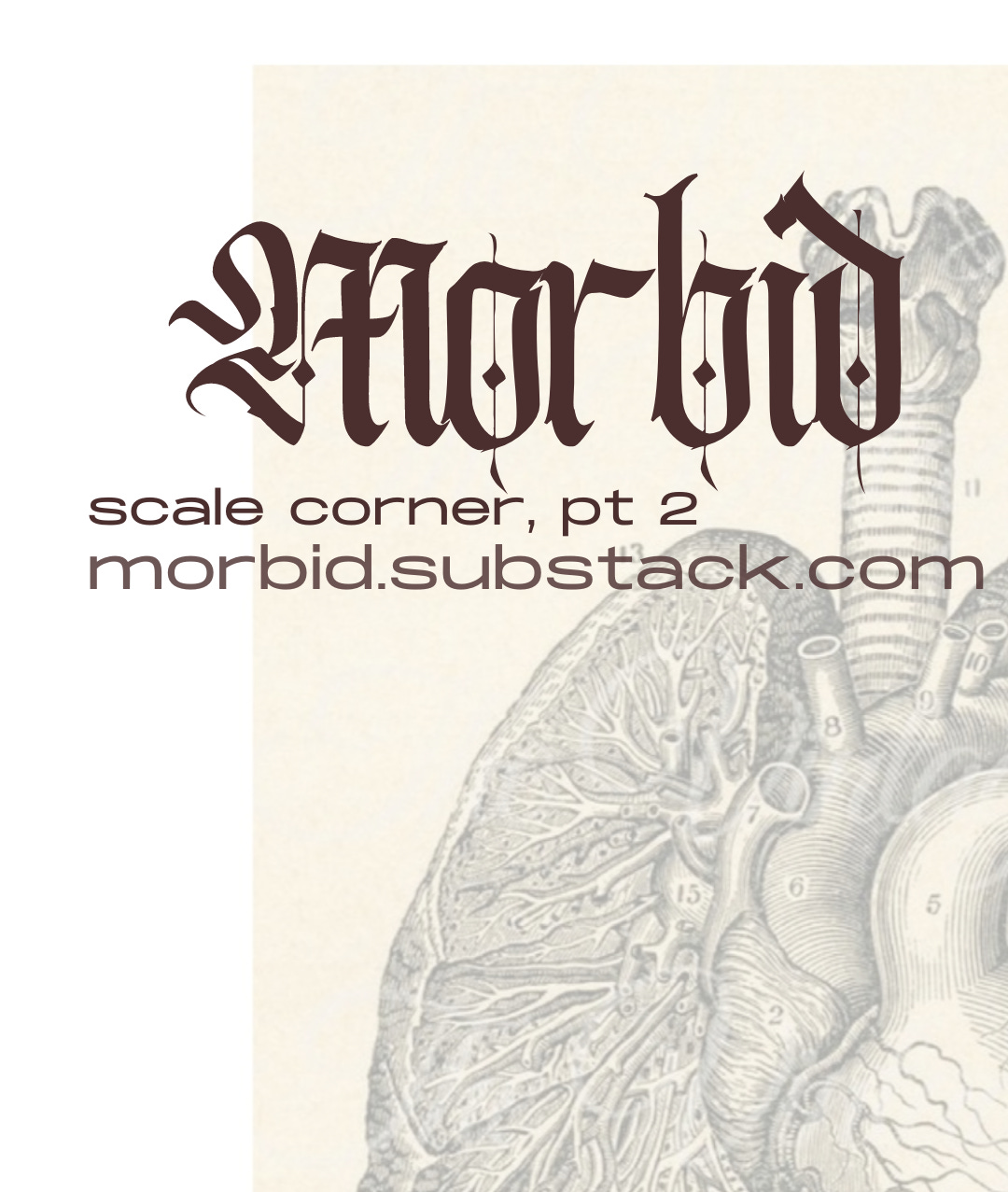 the morbs v.ii - by Tara McGowan-Ross - MORBID