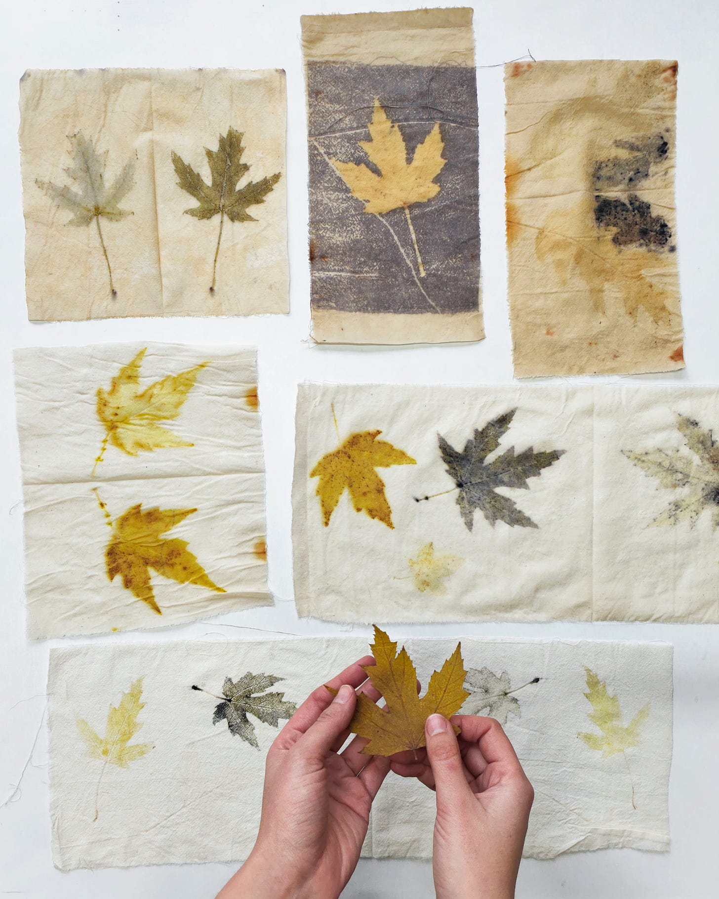 Printing with leaves - by Ania Grzeszek - Kaliko Journal
