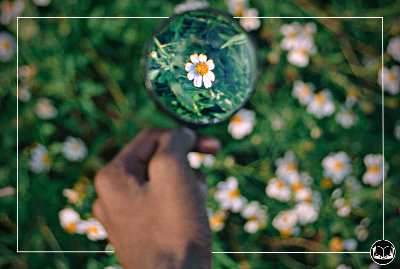 "Stolen Focus": Part One - by Matthew Morgan