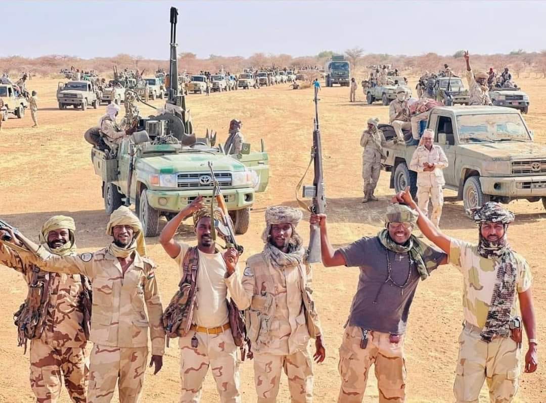 Arsenal of the Rapid Support Forces in Sudan - by War Noir