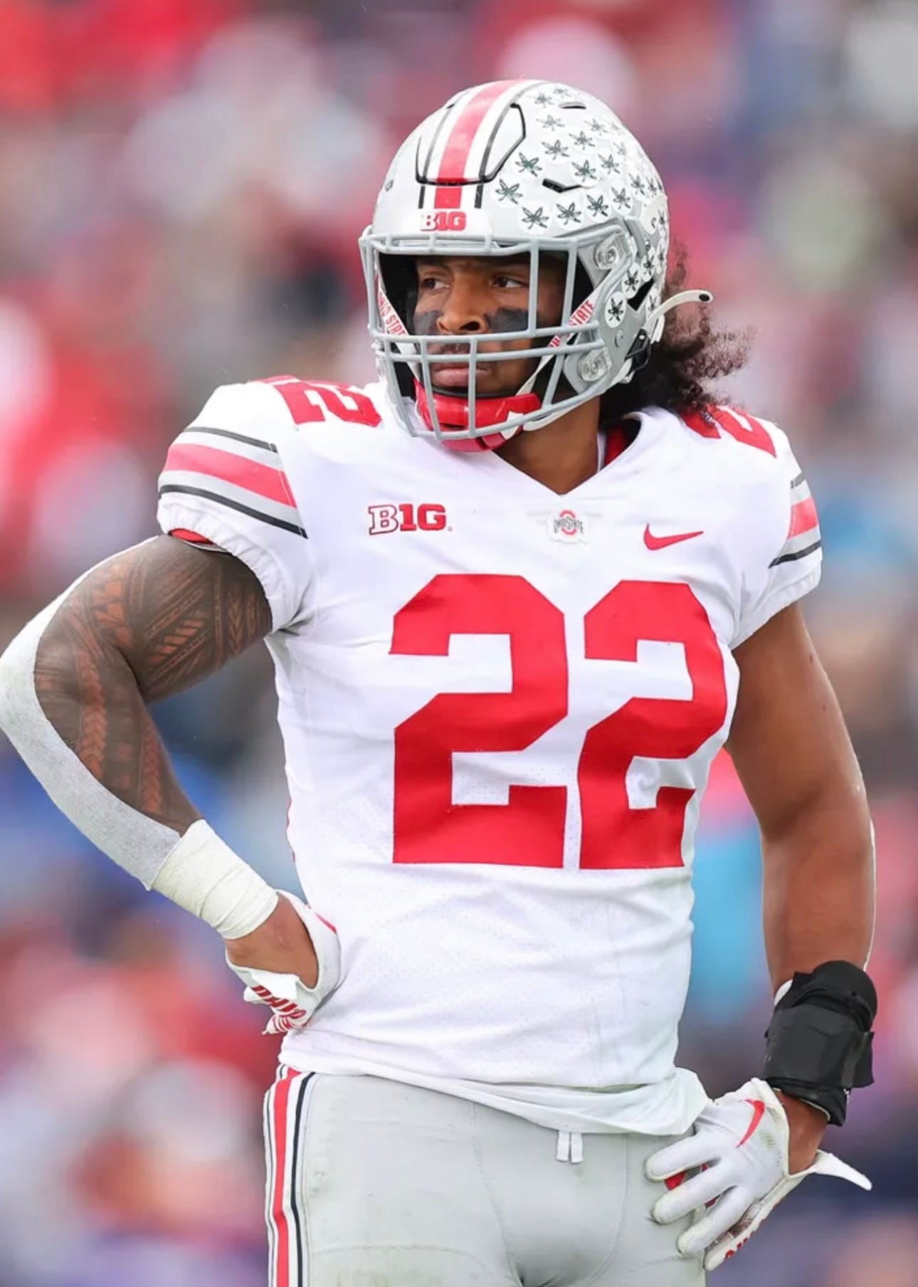 Steele Chambers: Ready, Grilling and Able