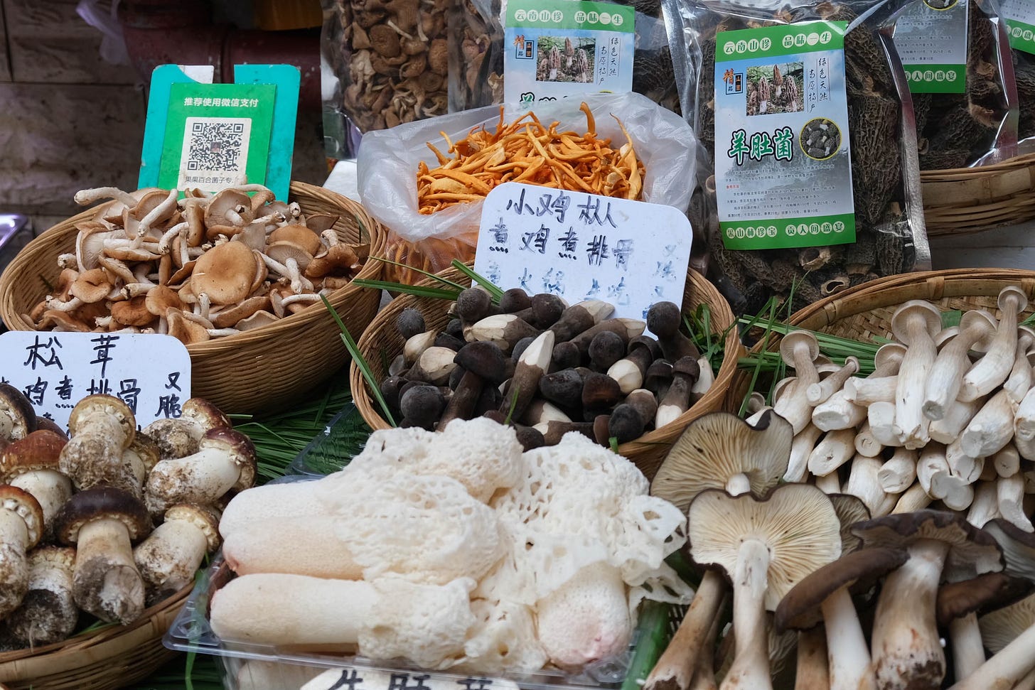 Guide to Yunnan's edible wild mushrooms, summer 2024