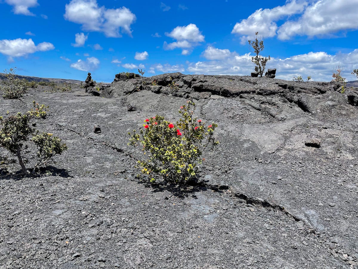 Exploring The Volcanoes Of Hawaii On The Big Island – Wanderer Writes ...