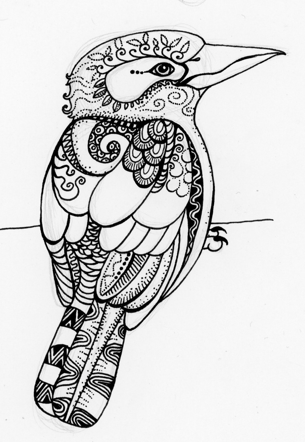 How to Draw - Kookaburra - by Zinia King - Zinia’s Substack