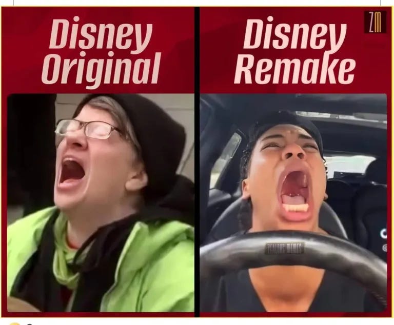 Ann Barnhardt Memes - Edwin’s Newsletter #1