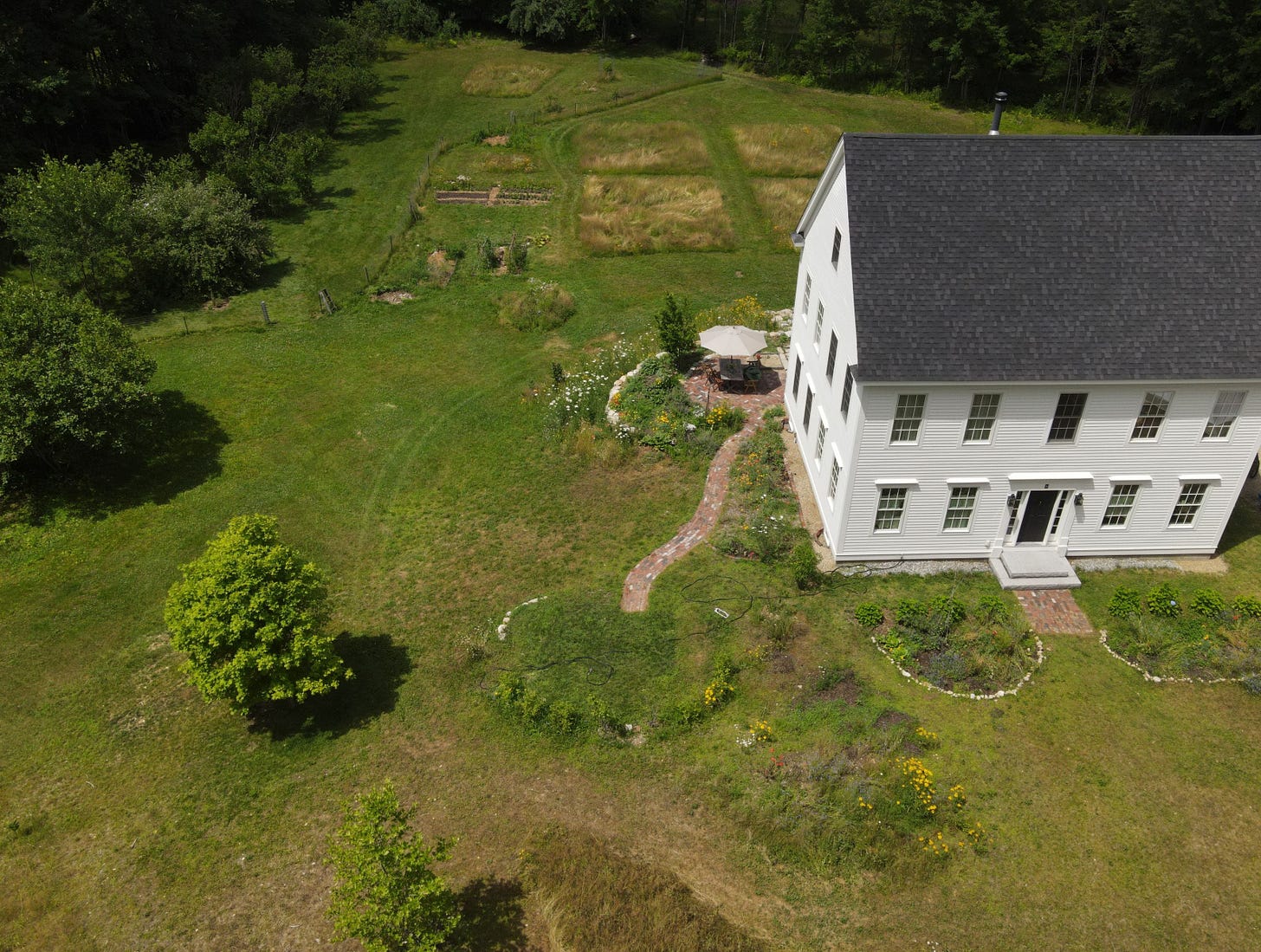 Designing a New Old Home: Light - by Simon Sarris