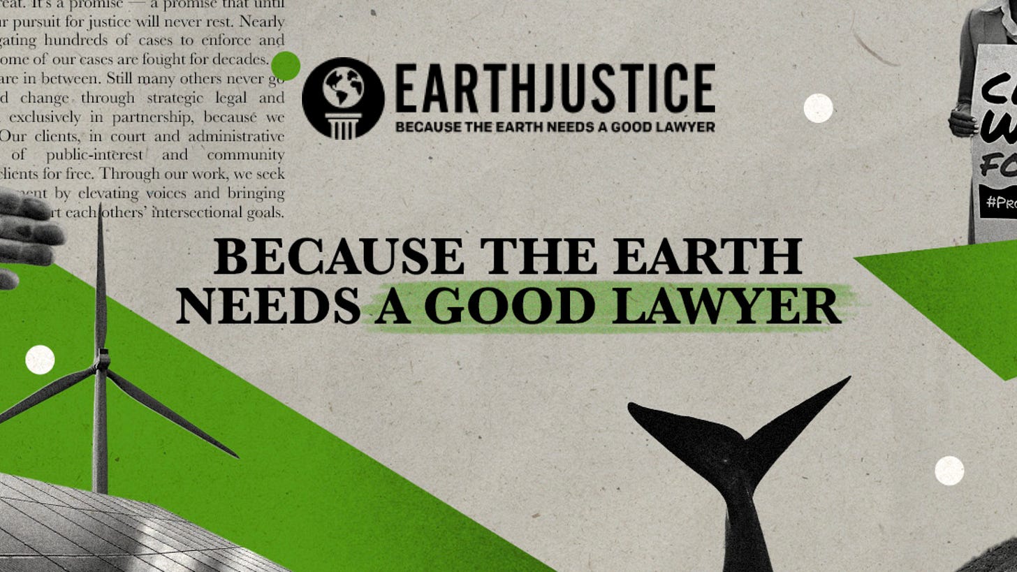 Earthjustice, Associate Director of Social Media