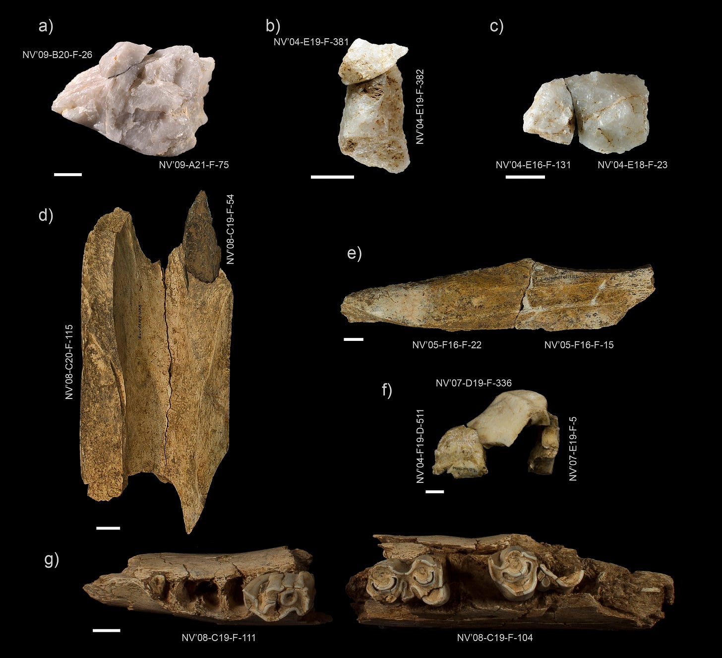 New research sheds light on the diversity of Neanderthal hunting practices