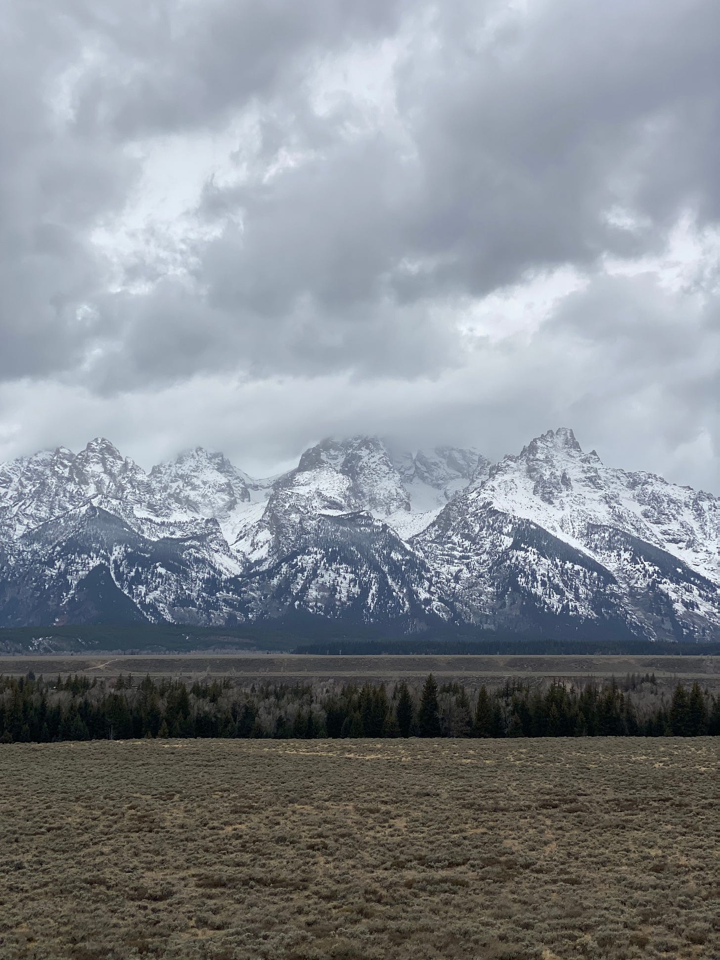 A First Look at the BRST Formalism - by Sean Downes