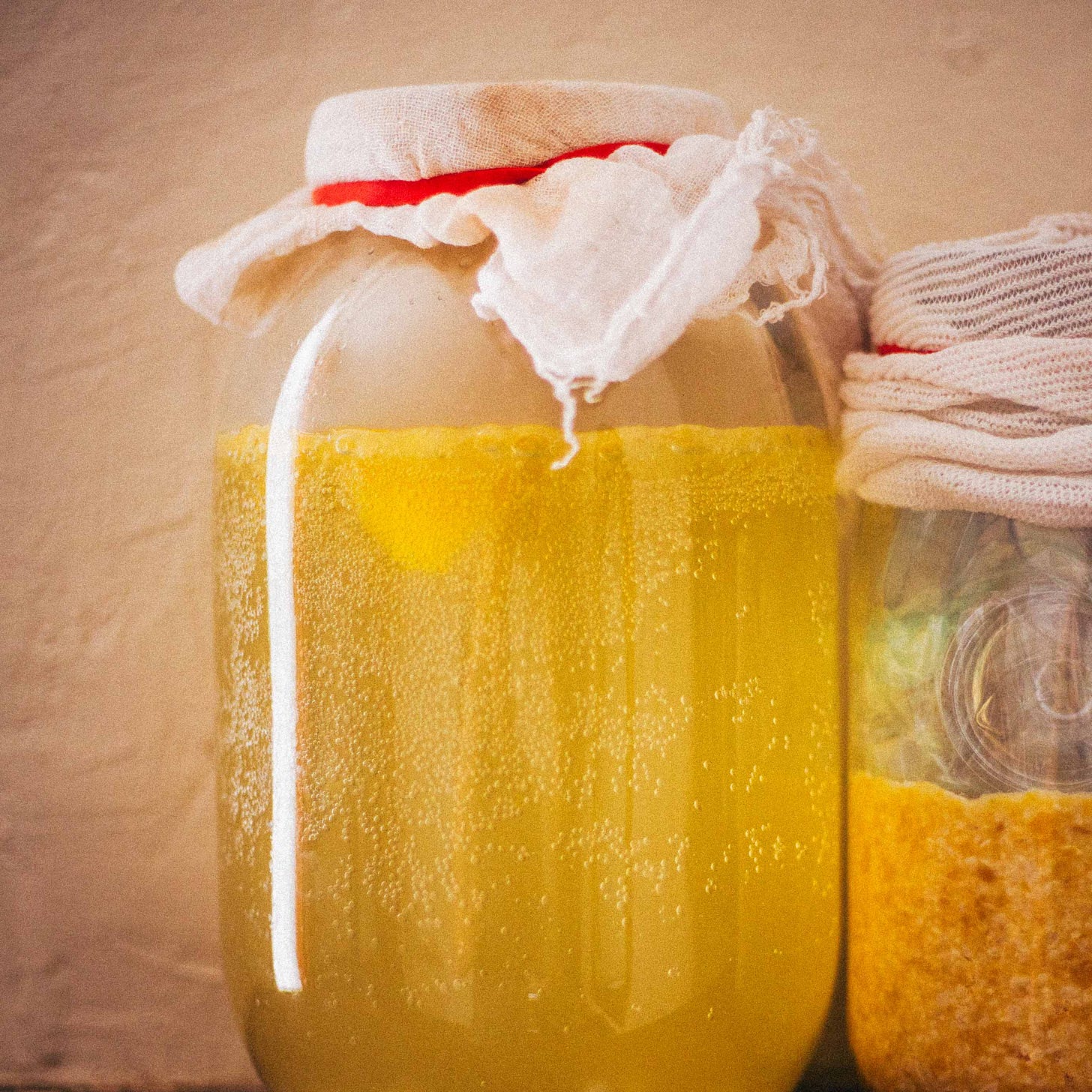 Wild Fermented Soda | MASTERCLASS (free) - by Sam Cooper
