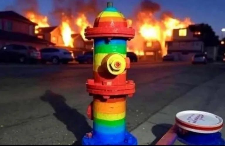 Ann Barnhardt Meme Barrage - Edwin’s Newsletter #1