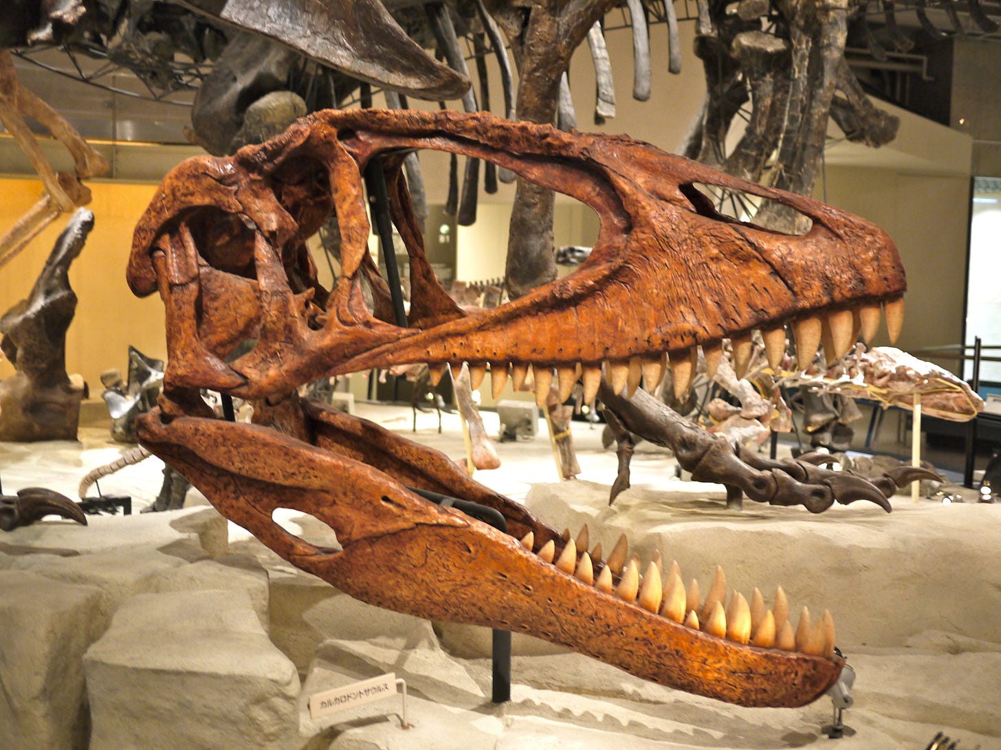 The Crude Life Vault: Paleontologist Depalma Describes Meteor Impact ...
