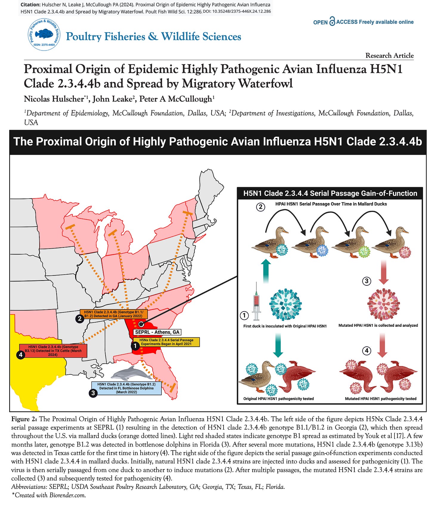 BREAKING - Peer-Reviewed Study Finds Current H5N1 Bird Flu Strain May ...