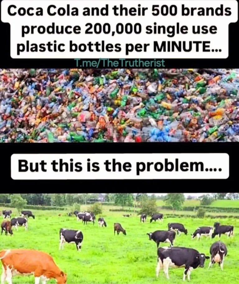 Ann Barnhardt Meme Barrage - Edwin’s Newsletter #1