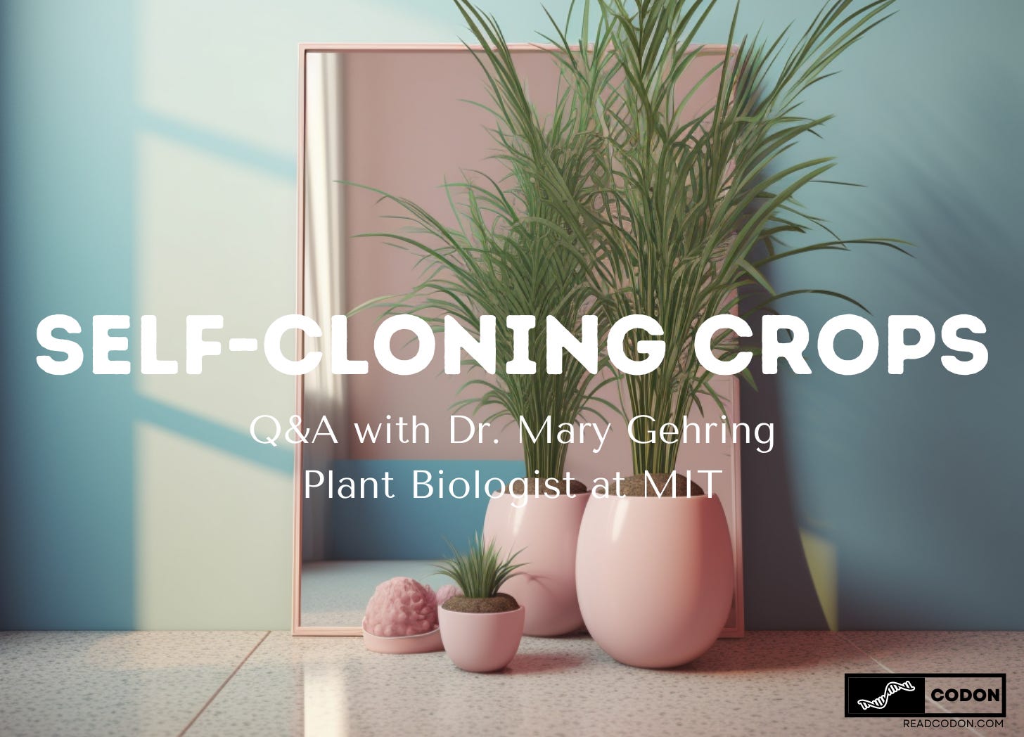 Progress on Self-Cloning Crops - Asimov Press