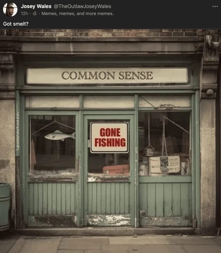 Ann Barnhardt Meme Barrage - Edwin’s Newsletter #1