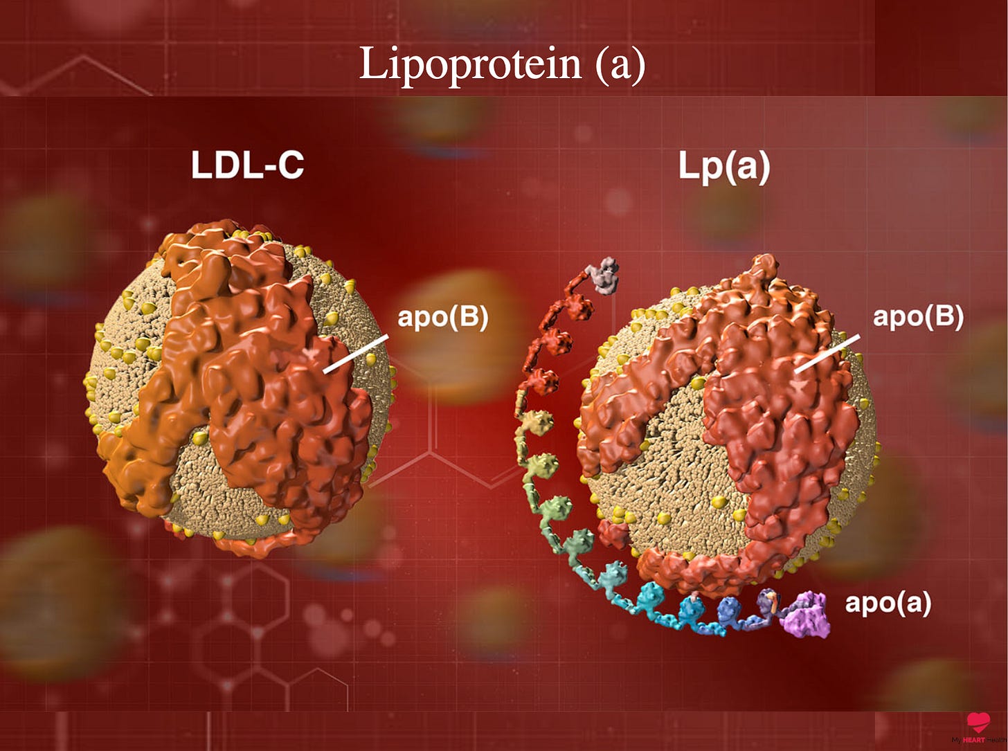Future Lp(a) Treatment Options