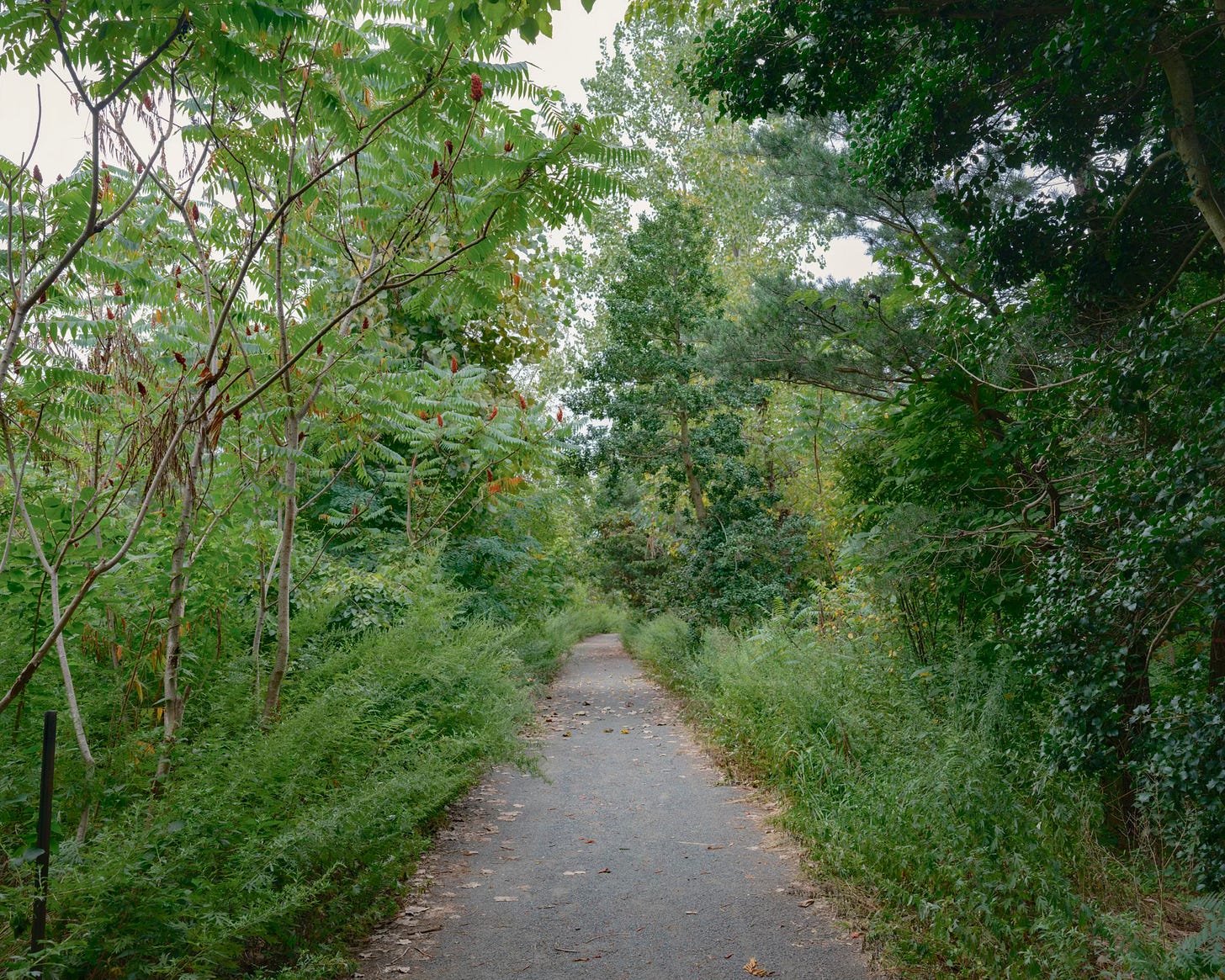 Springfield Gardens - Queens - by Rob Stephenson