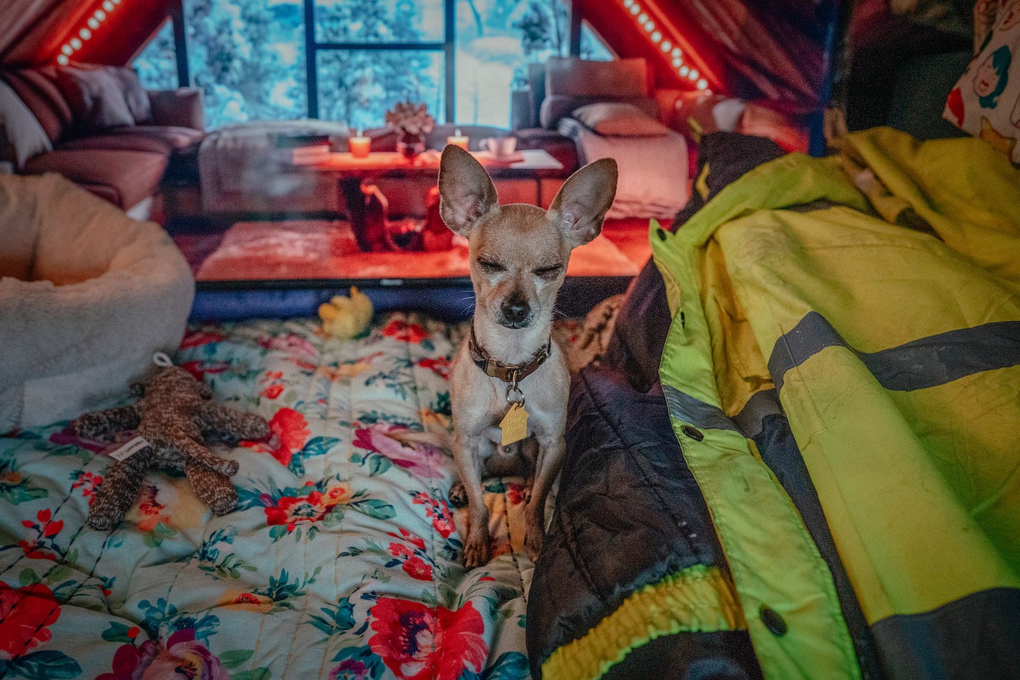 The Great Scramble - by Peter Savodnik - The Free Press