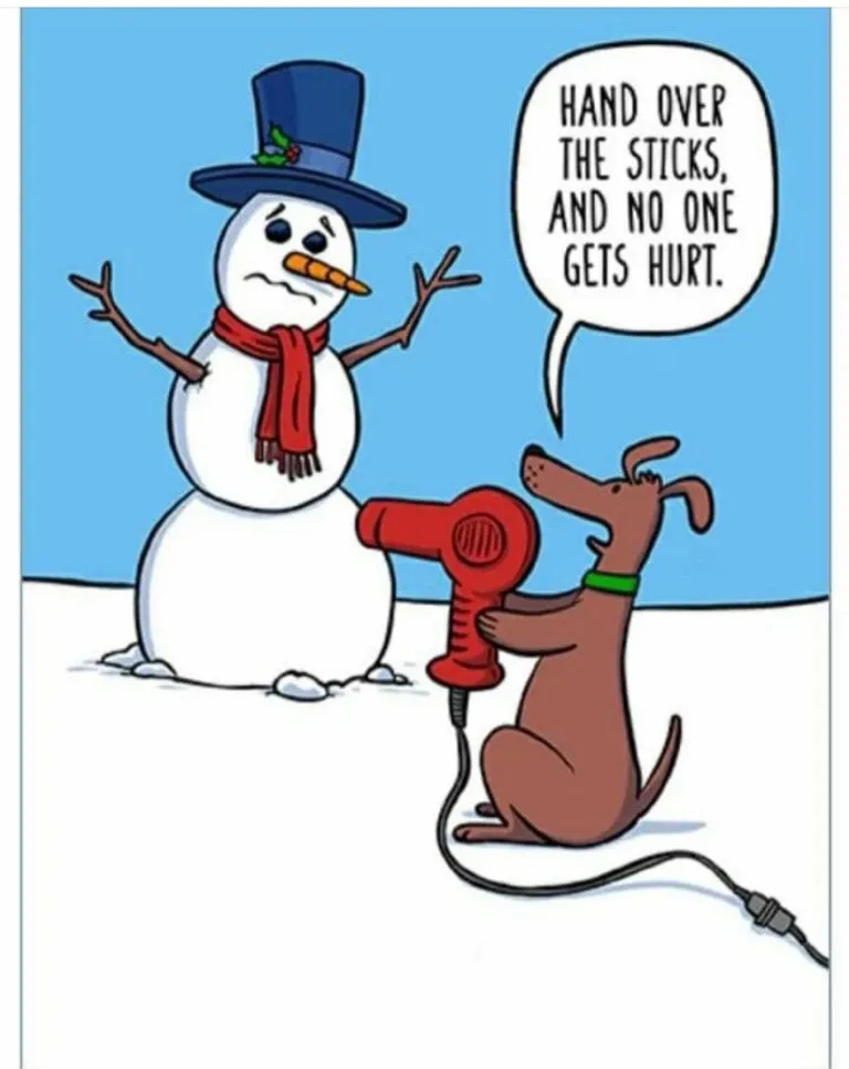 Ann Barnhardt Memes - Edwin’s Newsletter #1