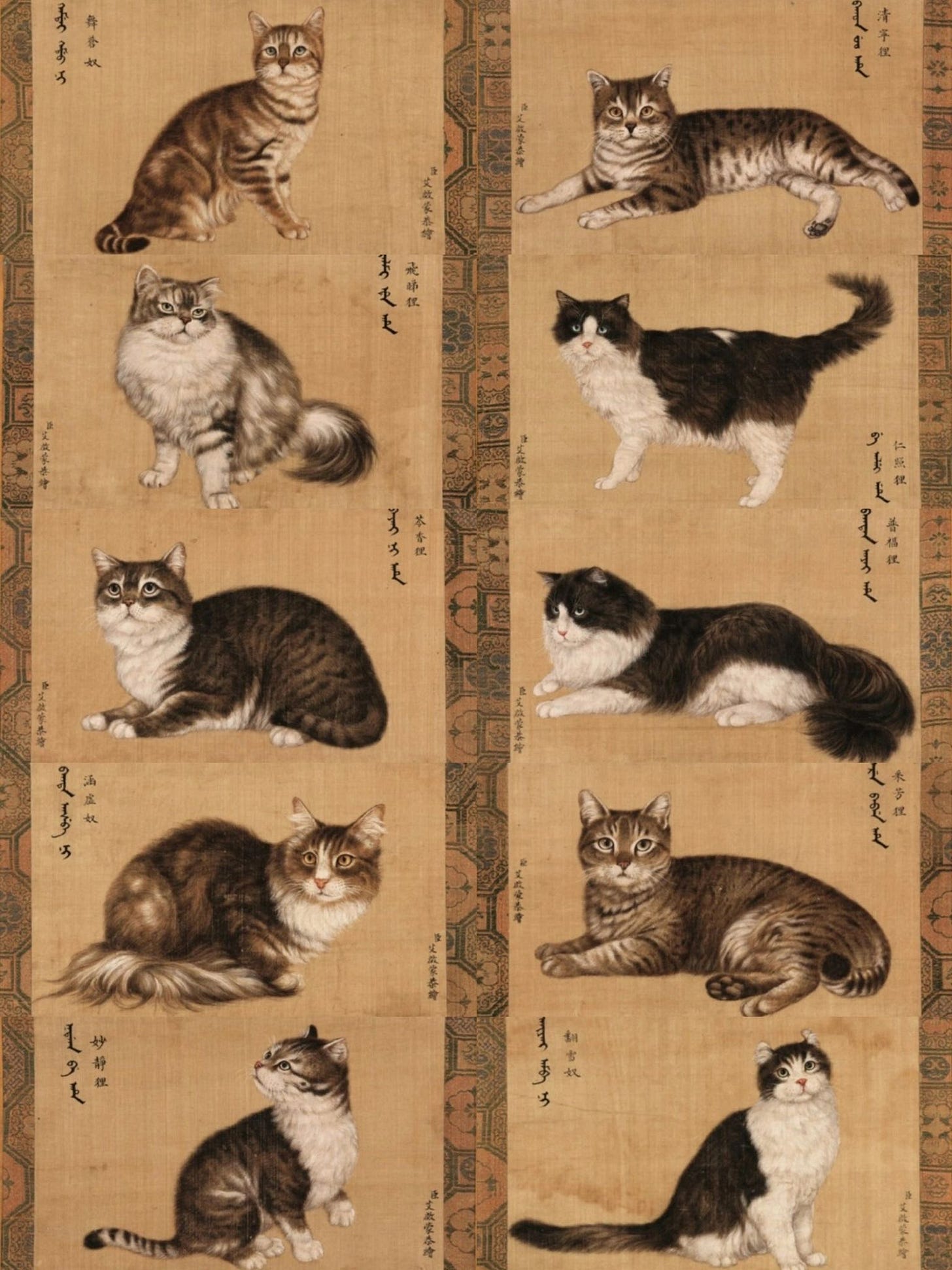 The Qianlong Emperor's Cats and the Manjurist Bat-Signal