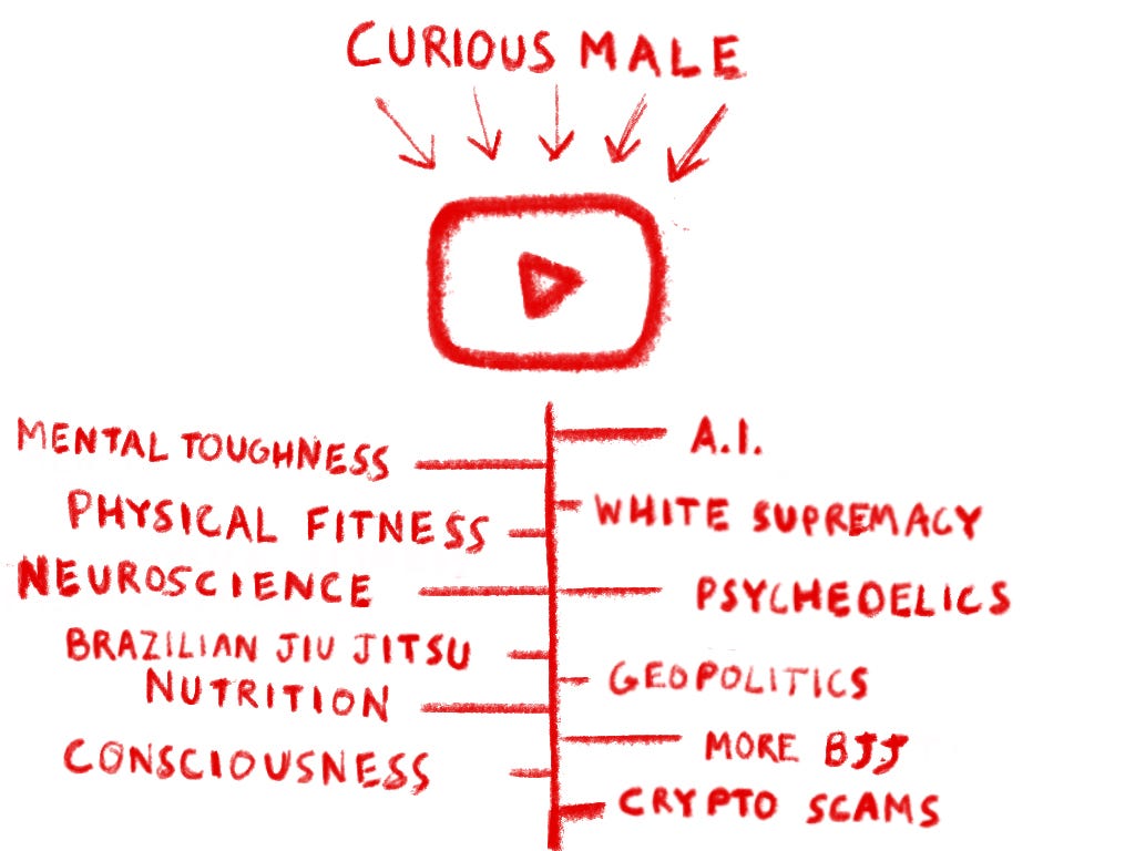 Decoding The Manosphere - by Bradley Andrews - Prolix