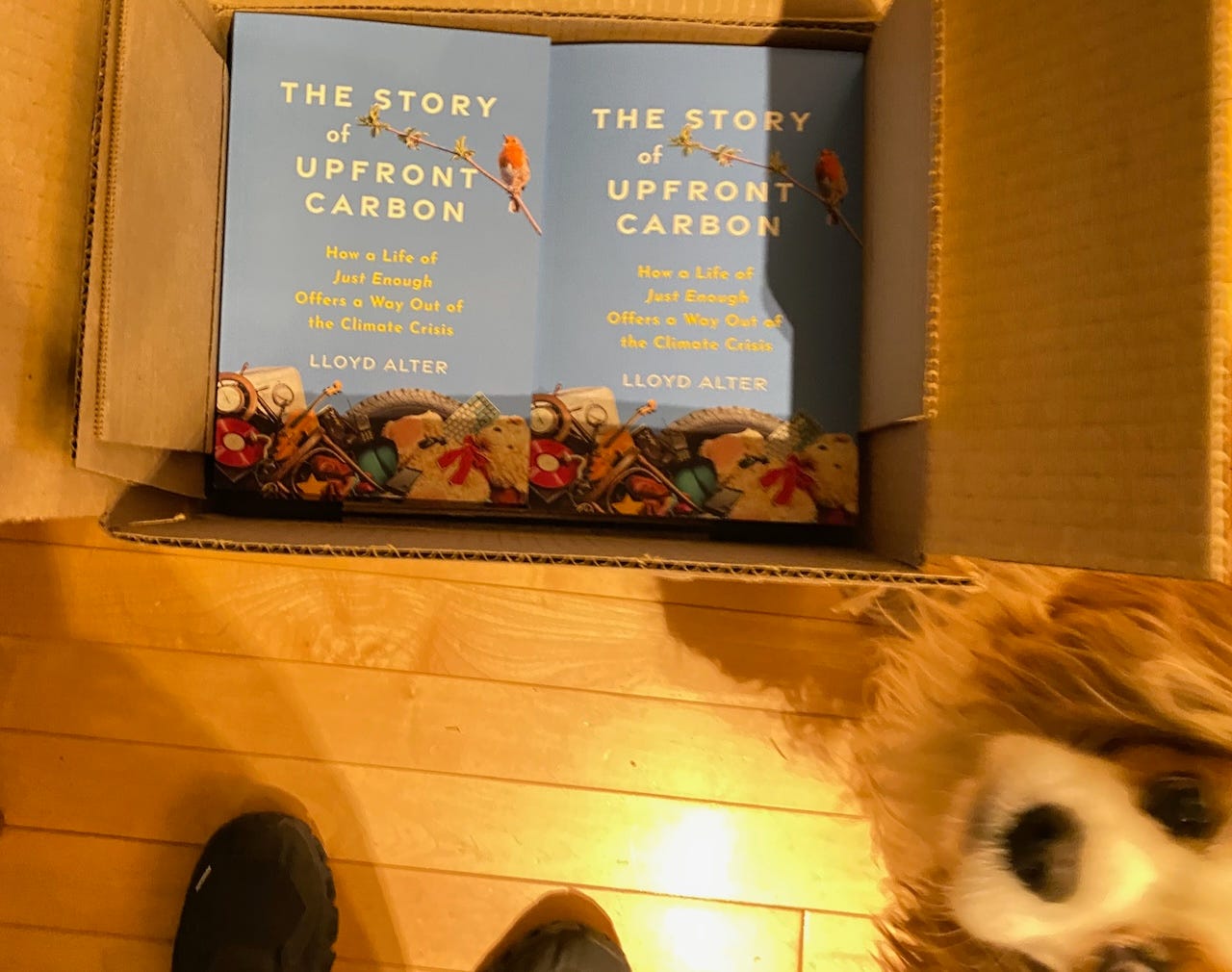 Why everyone should care about upfront carbon (and why I wrote a book ... Why everyone should care about upfront carbon (and why I wrote a book ...