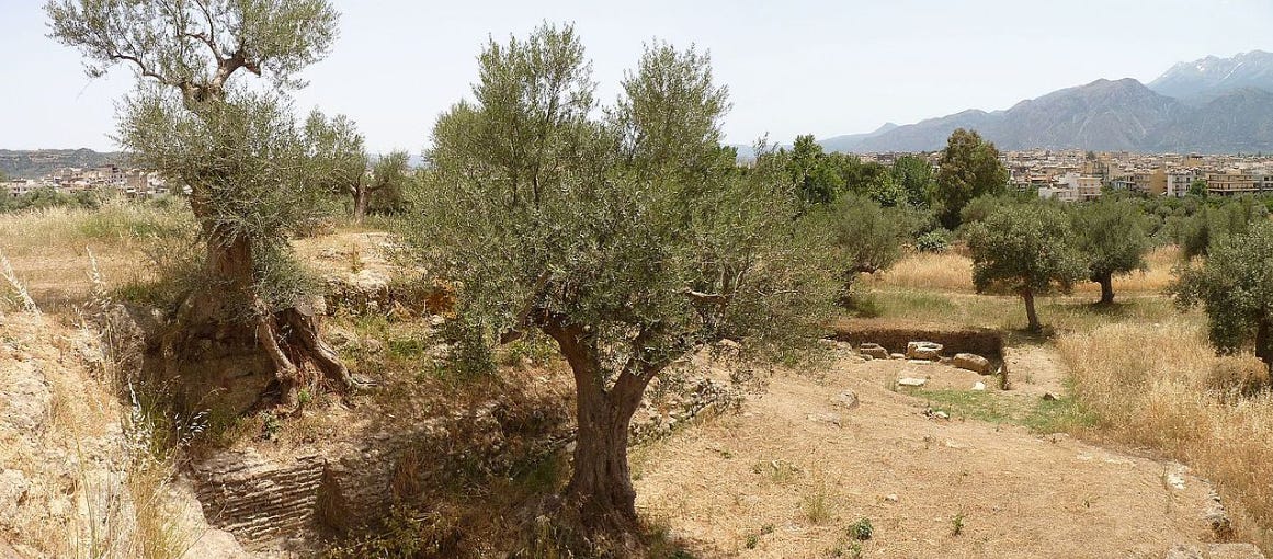 The Helots: Slave Warriors of Ancient Sparta