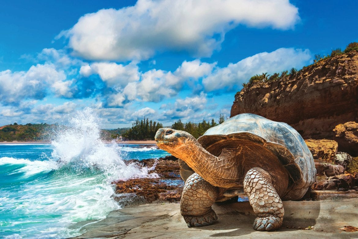 #30: A Short History of the Galápagos Islands