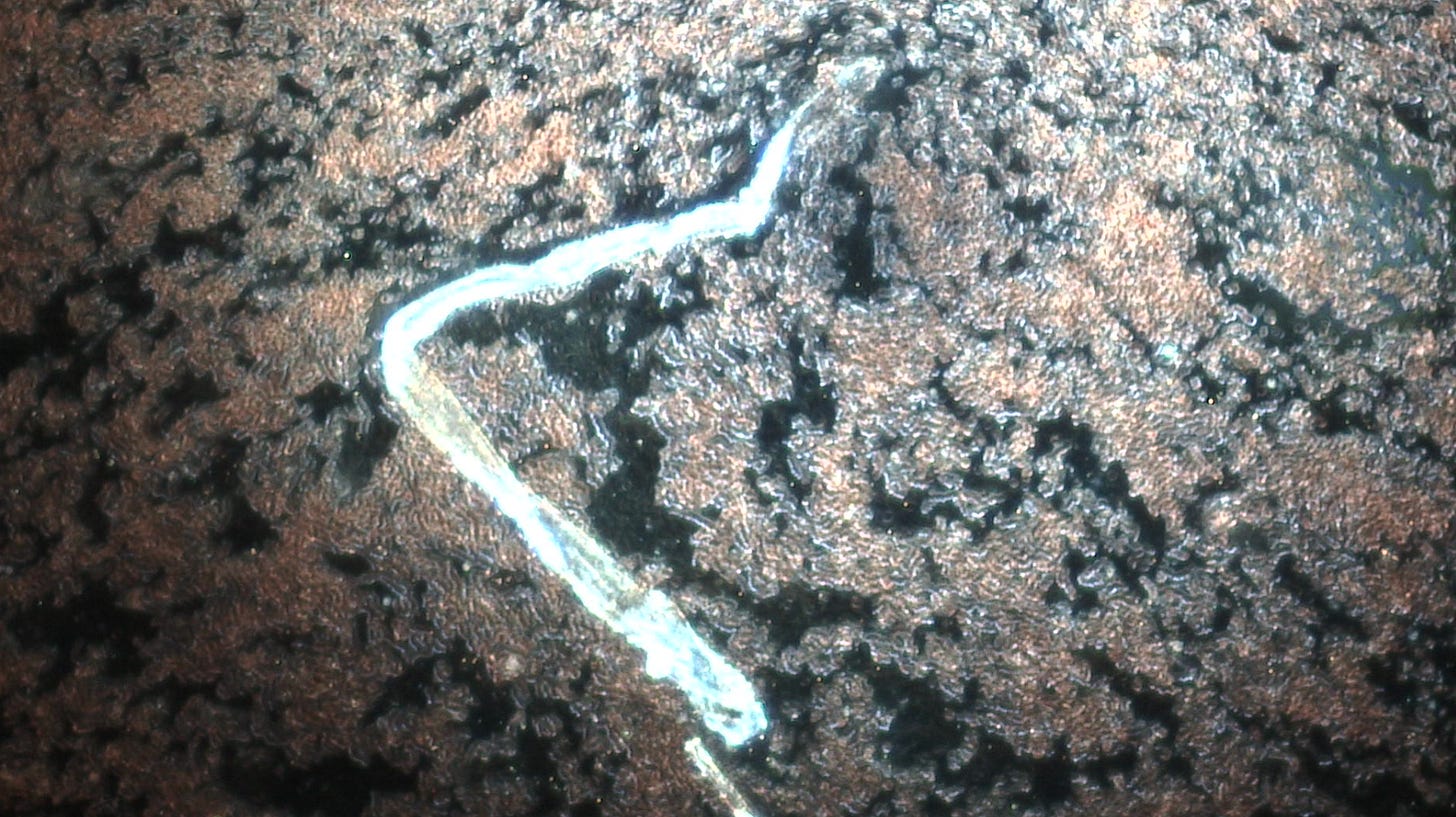 Blood Conductivity and Electrical Impedance Spectroscopy - A New Model ...